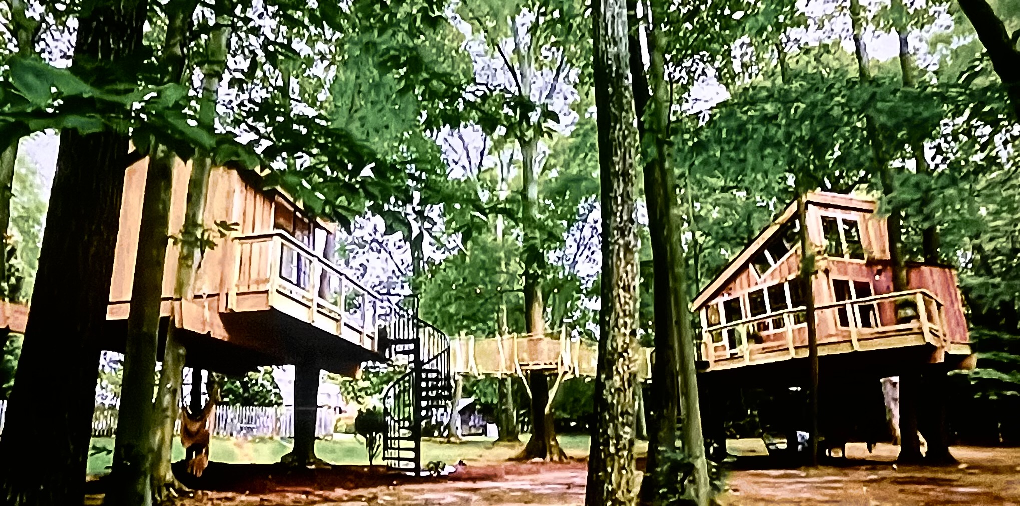 2025 Camp Update - Camp Treehouse Trauma Camp